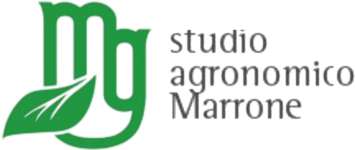 Homepage - Studio Marrone